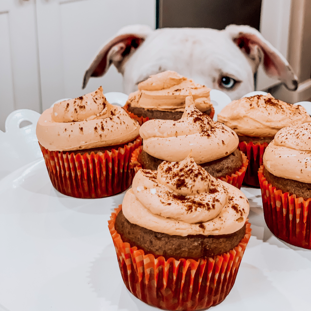 Pup-kin Pup-Cake Recipe – Treat Dreams