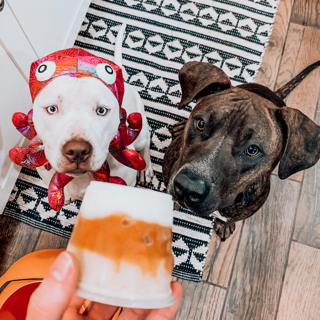 Frozen Candy Corn Dog Treats – Treat Dreams